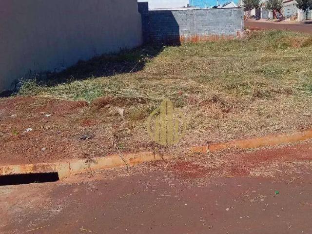 Terreno / Lote para Venda em Ribeirão Preto/SP Reserva Macaúba
