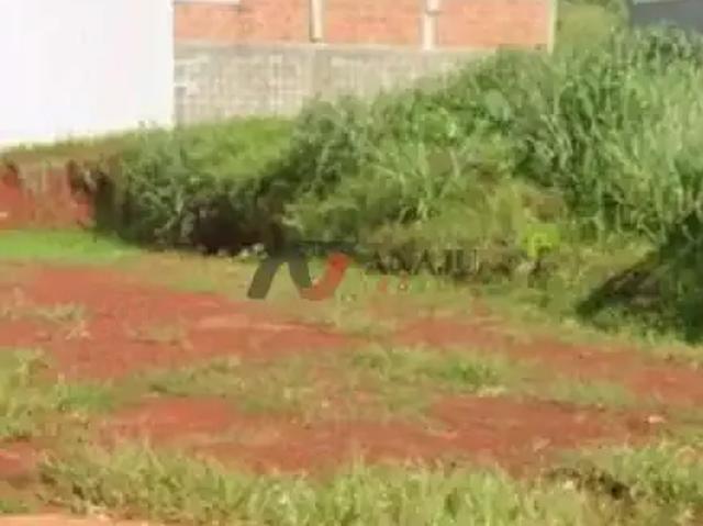 Terreno / Lote para Venda em Ribeirão Preto/SP Reserva Macaúba