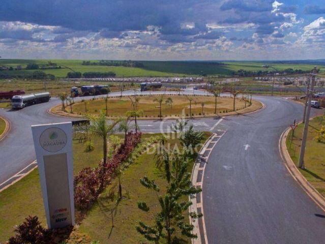 Terreno / Lote para Venda em Ribeirão Preto/SP Reserva Macaúba