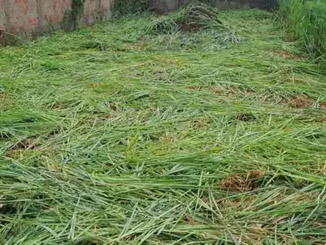 Terreno / Lote para Venda em Ribeirão Preto/SP Reserva Macaúba