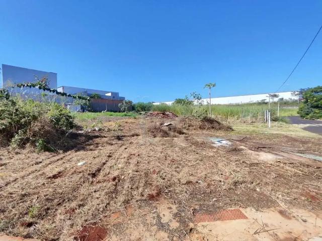 Terreno / Lote para Venda em Ribeirão Preto/SP Reserva Macaúba