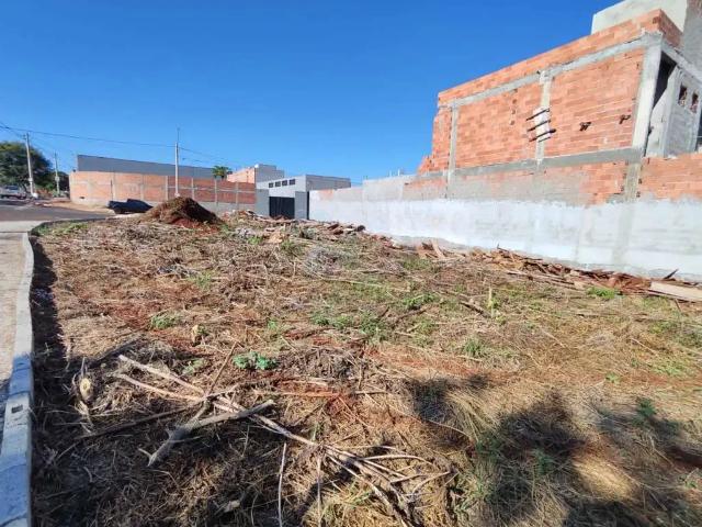 Terreno / Lote para Venda em Ribeirão Preto/SP Reserva Macaúba