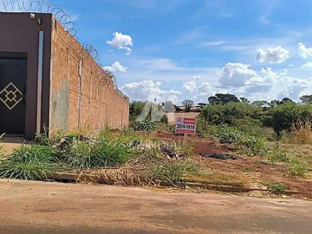 Terreno / Lote para Venda em Ribeirão Preto/SP Reserva Macaúba
