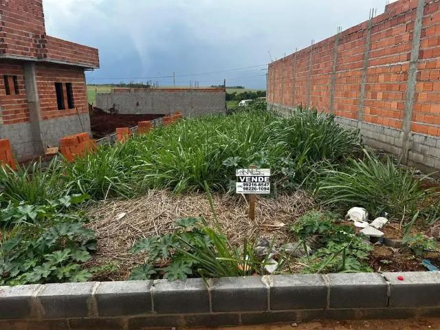 Terreno / Lote para Venda em Ribeirão Preto/SP Reserva Macaúba