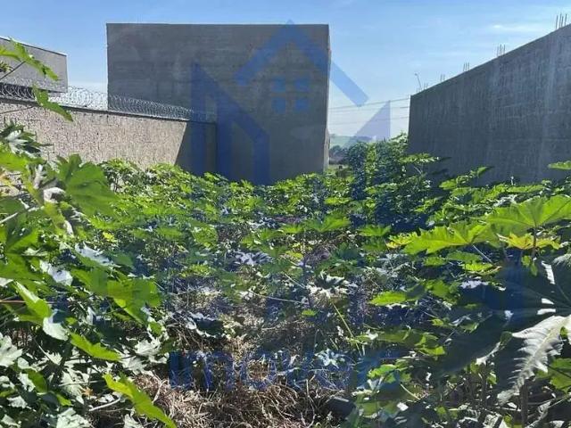 Terreno / Lote para Venda em Ribeirão Preto/SP Reserva Macaúba