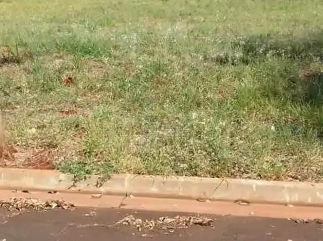 Terreno / Lote para Venda em Ribeirão Preto/SP Reserva San Pedro