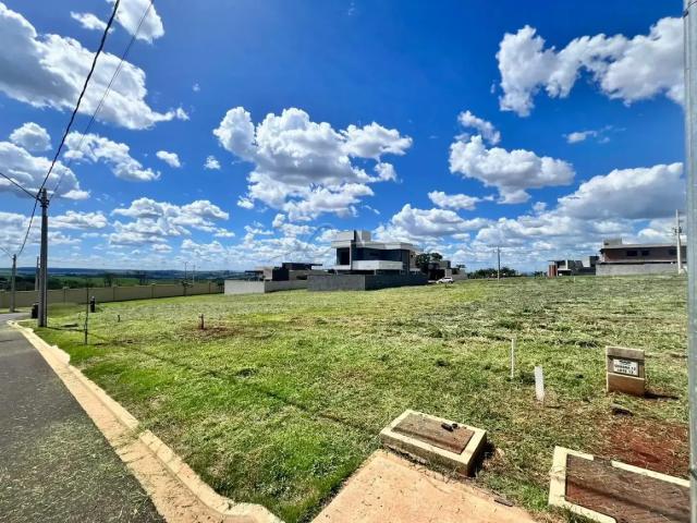 Terreno / Lote para Venda em Ribeirão Preto/SP Residencial Alto do Castelo