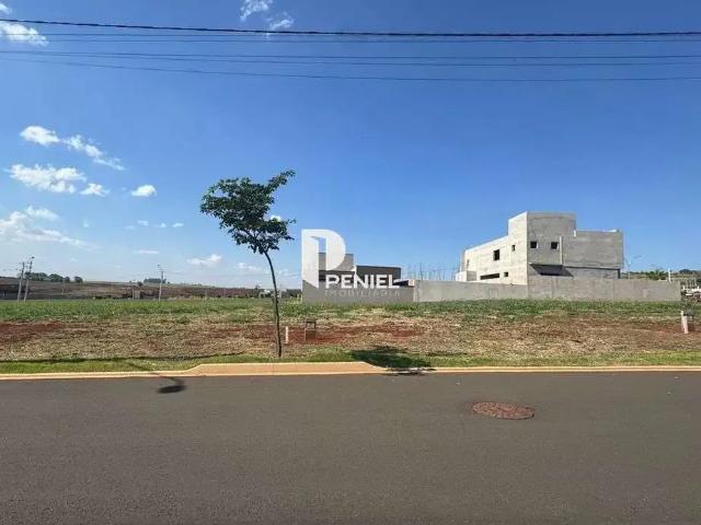 Terreno / Lote para Venda em Ribeirão Preto/SP Residencial Alto do Castelo