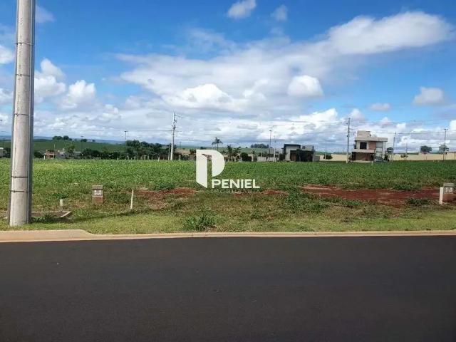 Terreno / Lote para Venda em Ribeirão Preto/SP Residencial Alto do Castelo