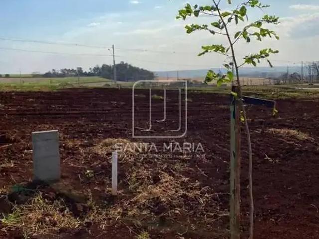 Terreno / Lote para Venda em Ribeirão Preto/SP Residencial Alto do Castelo