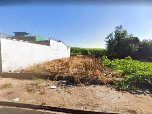 Terreno / Lote para Venda em Ribeirão Preto/SP Residencial e Comercial Palmares