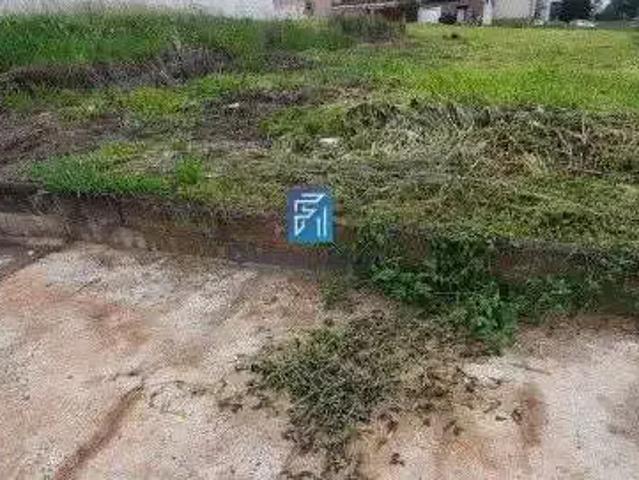 Terreno / Lote para Venda em Ribeirão Preto/SP Residencial Flórida