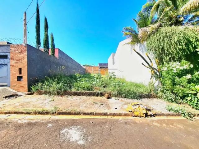 Terreno / Lote para Venda em Ribeirão Preto/SP Residencial Flórida