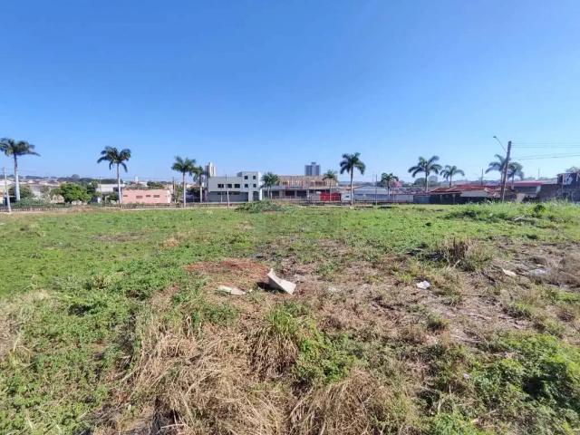 Terreno / Lote para Venda em Ribeirão Preto/SP República