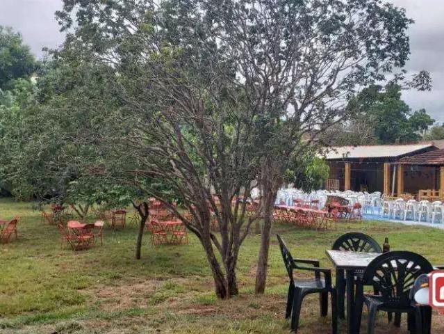 Terreno / Lote para Venda em Ribeirão Preto/SP República