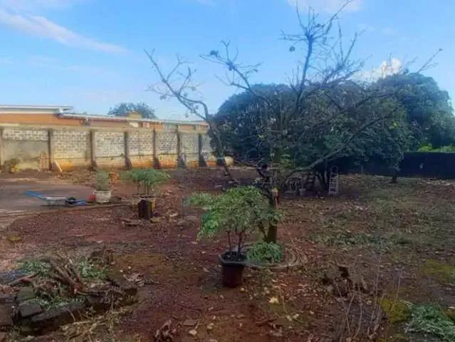 Terreno / Lote para Venda em Ribeirão Preto/SP Ribeirânia