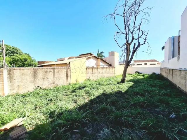 Terreno / Lote para Venda em Ribeirão Preto/SP Ribeirânia