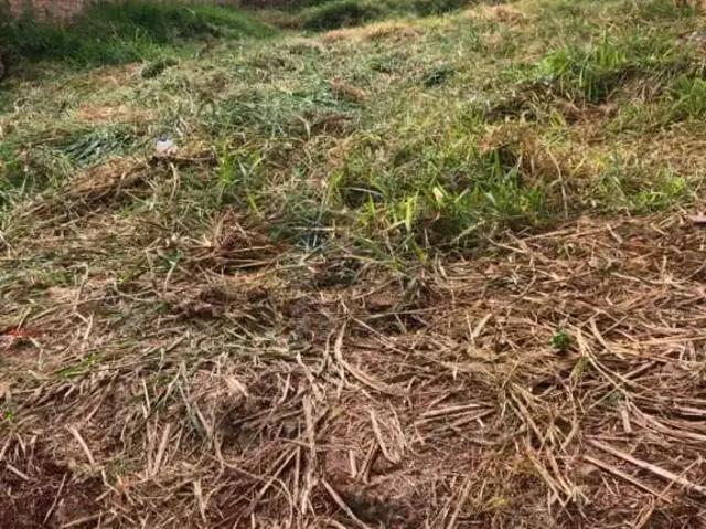 Terreno / Lote para Venda em Ribeirão Preto/SP Ribeirânia