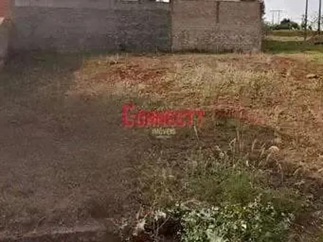 Terreno / Lote para Venda em Ribeirão Preto/SP Ribeirânia