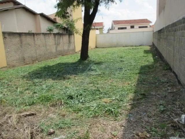 Terreno / Lote para Venda em Ribeirão Preto/SP Ribeirânia