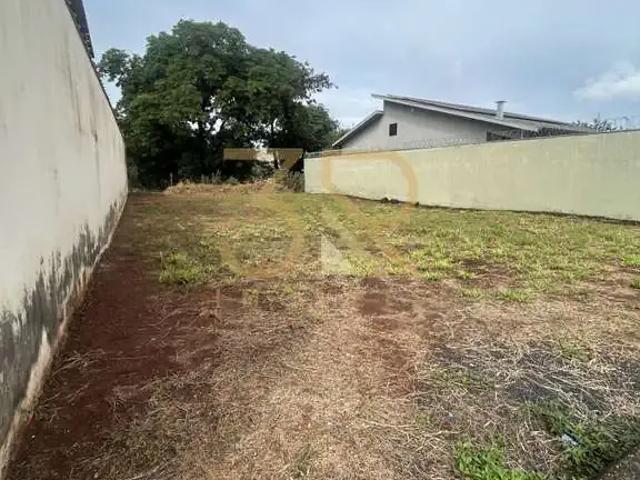 Terreno / Lote para Venda em Ribeirão Preto/SP Ribeirânia