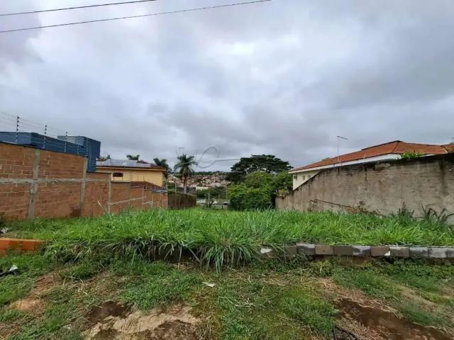 Terreno / Lote para Venda em Ribeirão Preto/SP Ribeirânia
