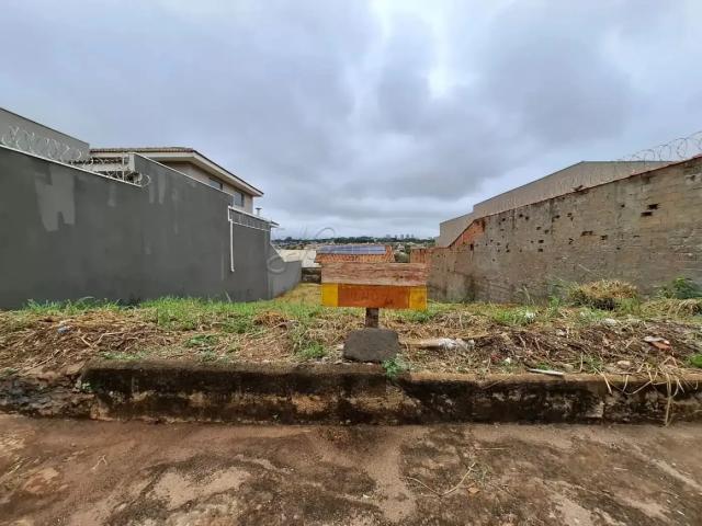 Terreno / Lote para Venda em Ribeirão Preto/SP Ribeirânia