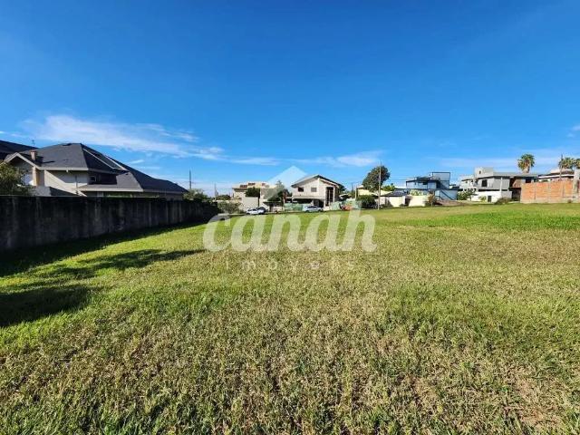 Terreno / Lote para Venda em Ribeirão Preto/SP Royal Park
