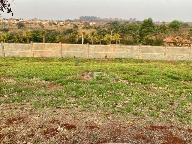 Terreno / Lote para Venda em Ribeirão Preto/SP Santa Martha