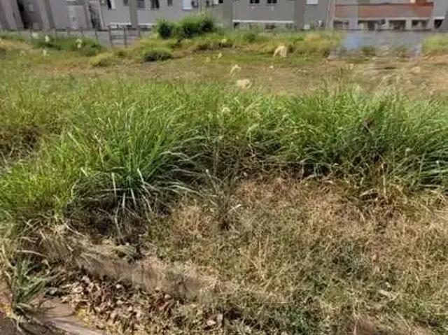 Terreno / Lote para Venda em Ribeirão Preto/SP Loteamento Santa Marta