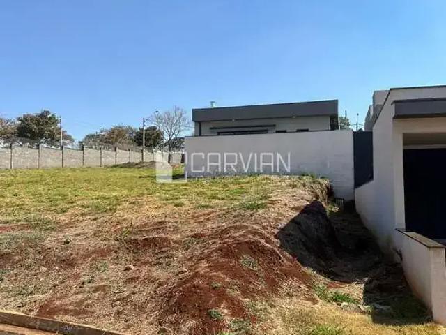 Terreno / Lote para Venda em Ribeirão Preto/SP Santa Martha