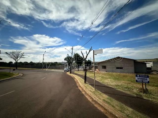 Terreno / Lote para Venda em Ribeirão Preto/SP Santa Martha