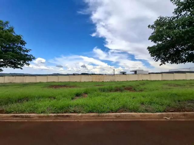 Terreno / Lote para Venda em Ribeirão Preto/SP Santa Martha