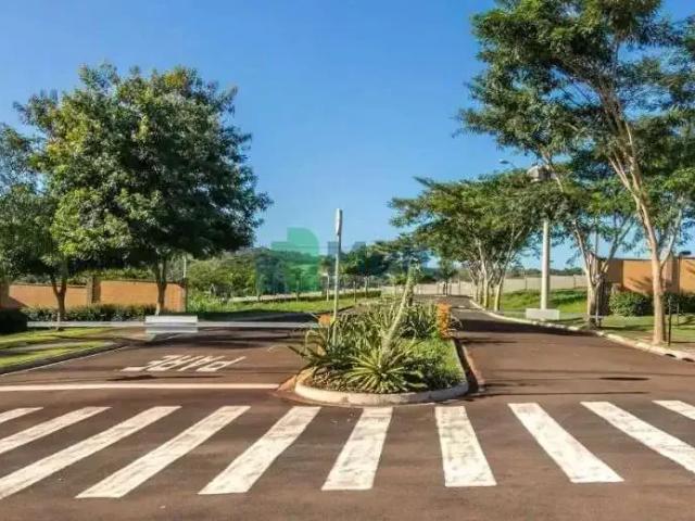 Terreno / Lote para Venda em Ribeirão Preto/SP Santa Martha