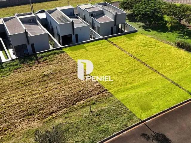 Terreno / Lote para Venda em Ribeirão Preto/SP Santa Martha