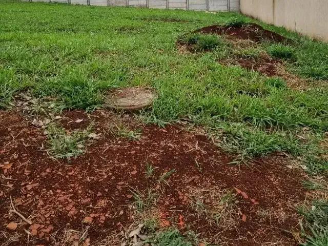 Terreno / Lote para Venda em Ribeirão Preto/SP Santa Martha