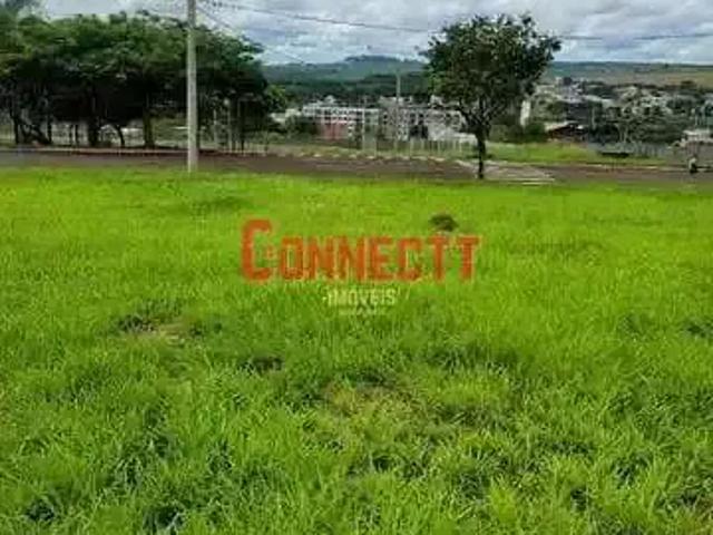 Terreno / Lote para Venda em Ribeirão Preto/SP Santa Martha