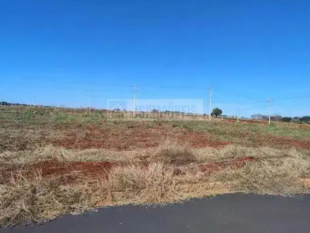 Terreno / Lote para Venda em Ribeirão Preto/SP Terras de Bonfim