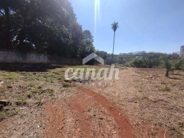 Terreno / Lote para Venda em Ribeirão Preto/SP Vila Amélia