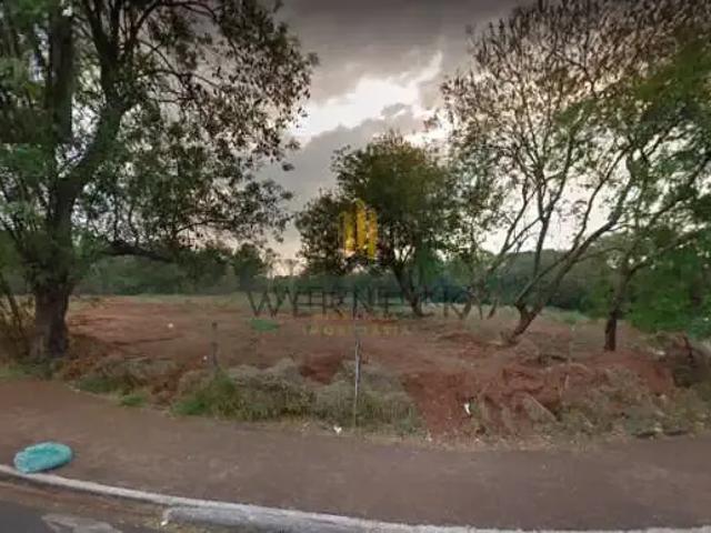 Terreno / Lote para Venda em Ribeirão Preto/SP Vila Guiomar