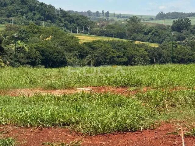 Terreno / Lote para Venda em Ribeirão Preto/SP Vila do Golf