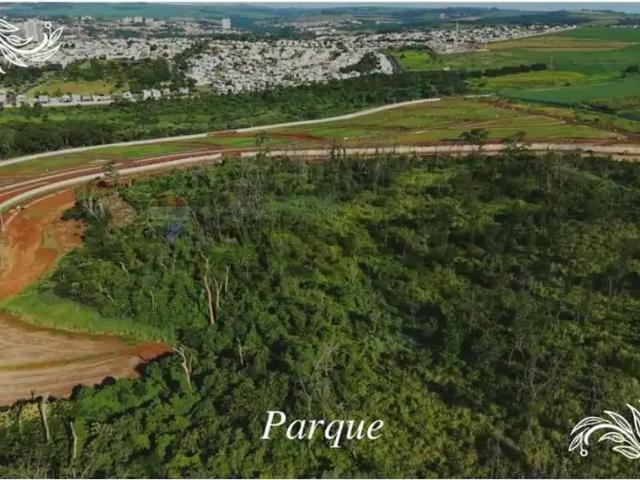 Terreno / Lote para Venda em Ribeirão Preto/SP Vila do Golf