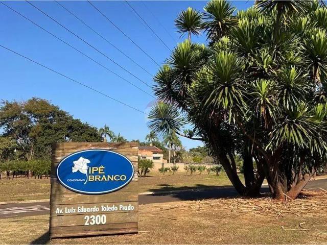 Terreno / Lote para Venda em Ribeirão Preto/SP Vila do Golf