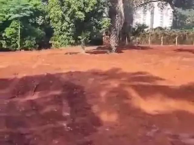 Terreno / Lote para Venda em Ribeirão Preto/SP Vila do Golf