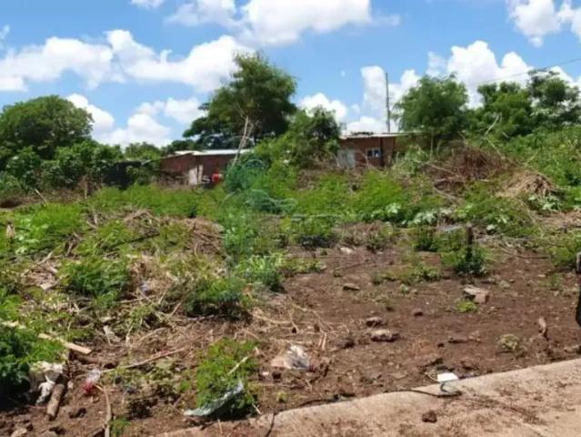 Terreno / Lote para Venda em Ribeirão Preto/SP Vila Elisa