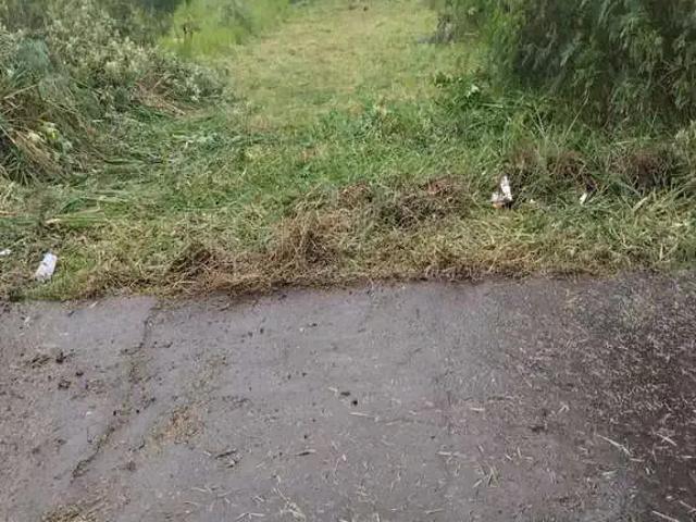 Terreno / Lote para Venda em Ribeirão Preto/SP Vila Elisa