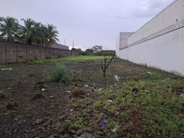 Terreno / Lote para Venda em Ribeirão Preto/SP Vila Elisa