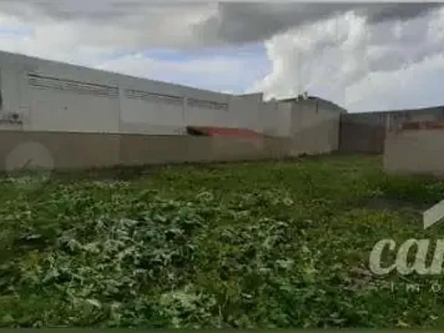 Terreno / Lote para Venda em Ribeirão Preto/SP Vila Elisa