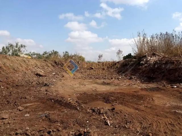 Terreno / Lote para Venda em Ribeirão Preto/SP Vila Mariana
