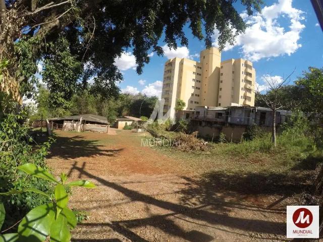 Terreno / Lote para Venda em Ribeirão Preto/SP Vila Tibério